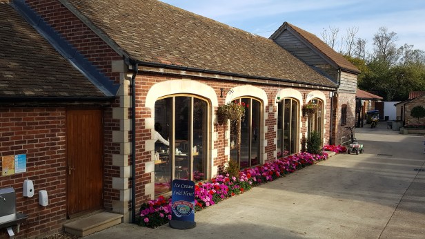 The Eccentric Englishman Tea Room at Johnsons of Old Hurst, Old Hurst ...